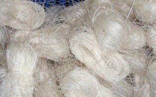 粉丝是什么做的_粉丝原料有哪些