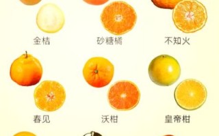 柑橘最好的三大品种有哪些_怎么挑选最甜