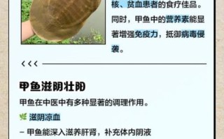 甲鱼的营养价值与功效_适合哪些人吃