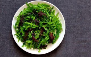 云南苦菜图片_云南苦菜怎么做好吃