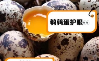 鹌鹑蛋的营养价值有哪些_鹌鹑蛋怎么吃最补气血