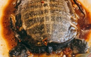 霸王别姬菜图片高清_霸王别姬菜是哪里的菜