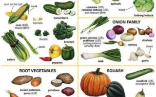 how_to_cook_green_pepper_potato_shreds_step_by_step