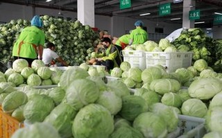 蔬菜配送生意怎么做_如何从零起步