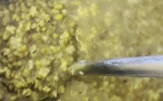 解暑绿豆汤怎么煮_绿豆汤要不要提前泡