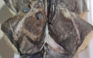 鸦片鱼头功效_鸦片鱼头营养价值