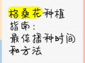 格桑花什么时候种_格桑花怎么种才爆花