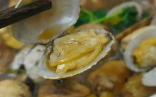 油蛤是海鲜吗_油蛤和花甲区别