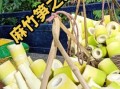 麻竹笋怎么挑选_麻竹笋营养价值高吗