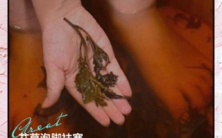艾叶水泡脚的正确方法_艾叶水泡脚的功效与禁忌