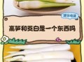 茭白长什么样_茭白和竹笋区别