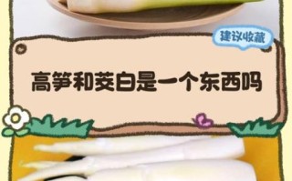 茭白长什么样_茭白和竹笋区别