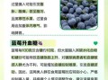 蓝莓吃多了会怎么样_一天吃多少合适