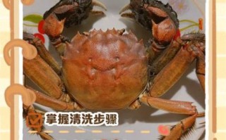 螃蟹怎么收拾干净_活蟹清洗步骤