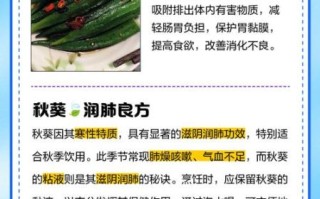 秋葵汤怎么做_秋葵汤的功效与禁忌