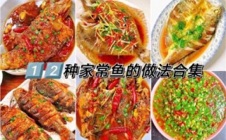 鱼的做法大全家常好吃_怎么做鱼不腥又入味
