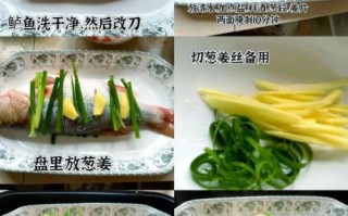 海鲈鱼怎么清蒸_海鲈鱼做法步骤