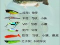 钓鲈鱼用什么饵_鲈鱼怎么钓才容易上钩