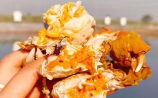 黄河口大闸蟹怎么挑选_黄河口大闸蟹多少钱一斤