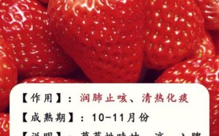 什么水果去火效果最好_去火水果排行榜