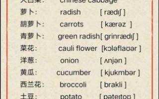 蔬菜的英文怎么读_vegetable发音技巧