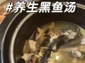 黑鱼汤怎么做对伤口好_术后喝黑鱼汤的正确做法