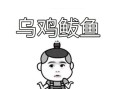 乌鸡鲅鱼是什么意思_网络用语乌鸡鲅鱼来源