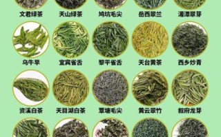 绿茶有哪些茶_绿茶品种大全及区别