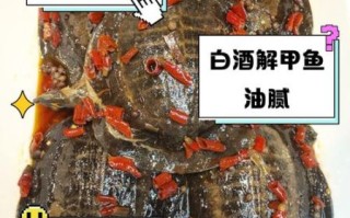 甲鱼胆汁怎么吃_甲鱼胆汁食用禁忌
