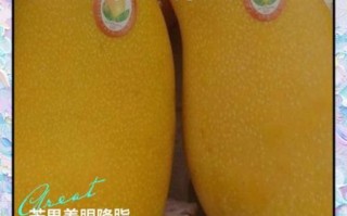 吃芒果有什么好处_吃芒果有什么坏处