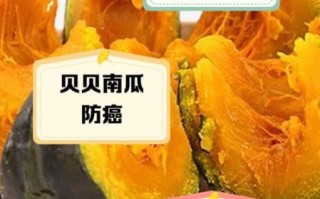 南瓜的功效与作用_南瓜的禁忌症有哪些