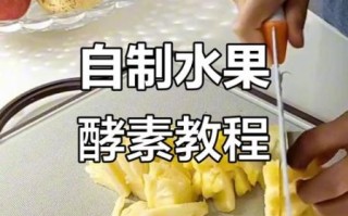 水果酵素怎么做_家庭自制水果酵素步骤