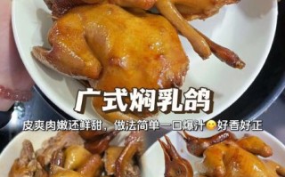 红烧乳鸽脆皮水怎么调_红烧乳鸽脆皮水最佳配方