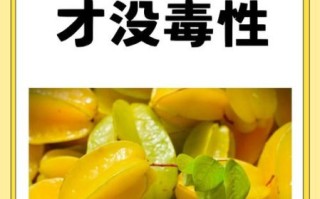 五星杨桃怎么吃_五星杨桃怎么吃才好吃