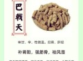 巴戟天的功效与作用_巴戟天的禁忌有哪些