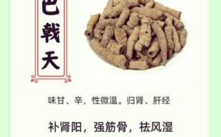 巴戟天的功效与作用_巴戟天的禁忌有哪些