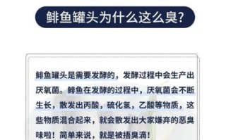 鲱鱼罐头为什么这么臭_如何去除臭味