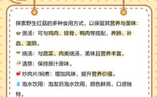 野生红菇怎么辨别真假_野生红菇多少钱一斤