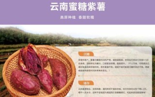 紫薯原产地是哪里_紫薯为什么叫紫薯