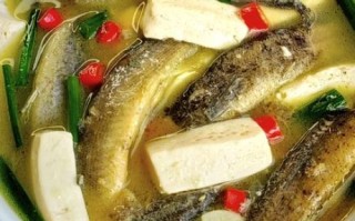 泥鳅煲汤怎么做最好_泥鳅汤去腥技巧