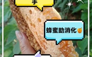 蜂蜜对胃有好处吗_蜂蜜养胃还是伤胃