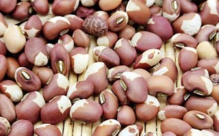 花豇豆煮粥怎么做_花豇豆煮粥需要提前泡吗