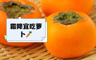 霜降节气吃什么最好_霜降养生食谱推荐