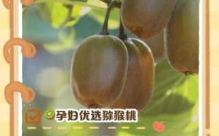 孕妇吃猕猴桃对胎儿好吗_孕期吃猕猴桃的好处与禁忌