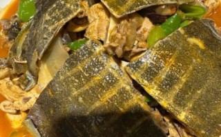 甲鱼怎么烧好吃又营养_甲鱼汤做法视频
