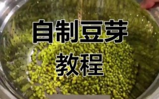 青豆芽怎么发_青豆芽的做法大全