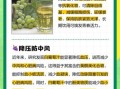葡萄汁的功效与作用及禁忌_哪些人不能喝
