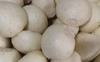 馒头蒸40分钟会熟吗_蒸过头还能吃吗