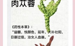 肉苁蓉怎么吃最安全_肉苁蓉禁忌人群有哪些