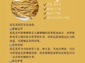 黄花菜的功效与作用_怎么做菜比较好吃